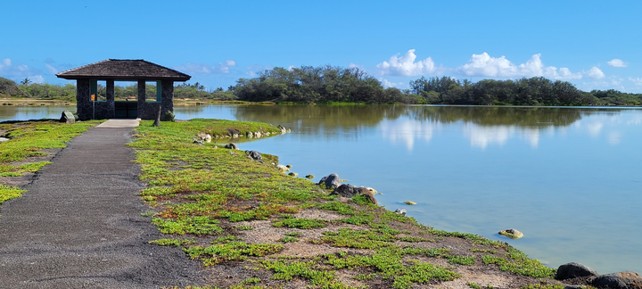 Photo of the Day: ‘Kanaha Pond Wildlife Sanctuary’ | News, Sports, Jobs ...